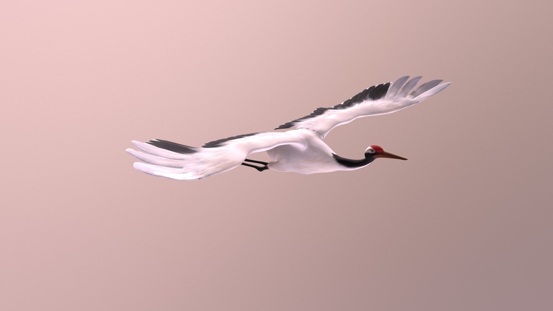 Crane Character - 3D model by Jixuan S (@jixuan) [026ad91] - Sketchfab