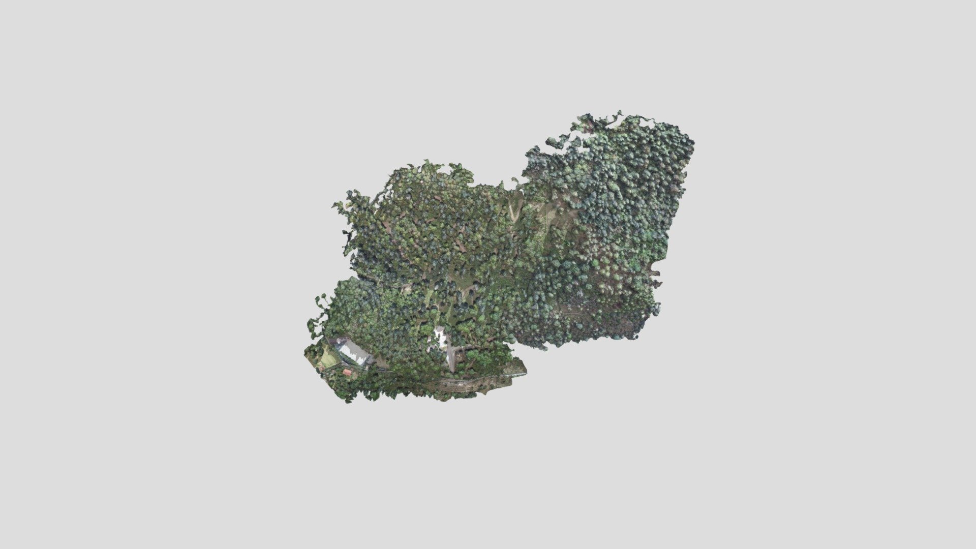 Paco Morfin 12 Has _simplified_3d_mesh - 3D model by teoalbarran91 ...