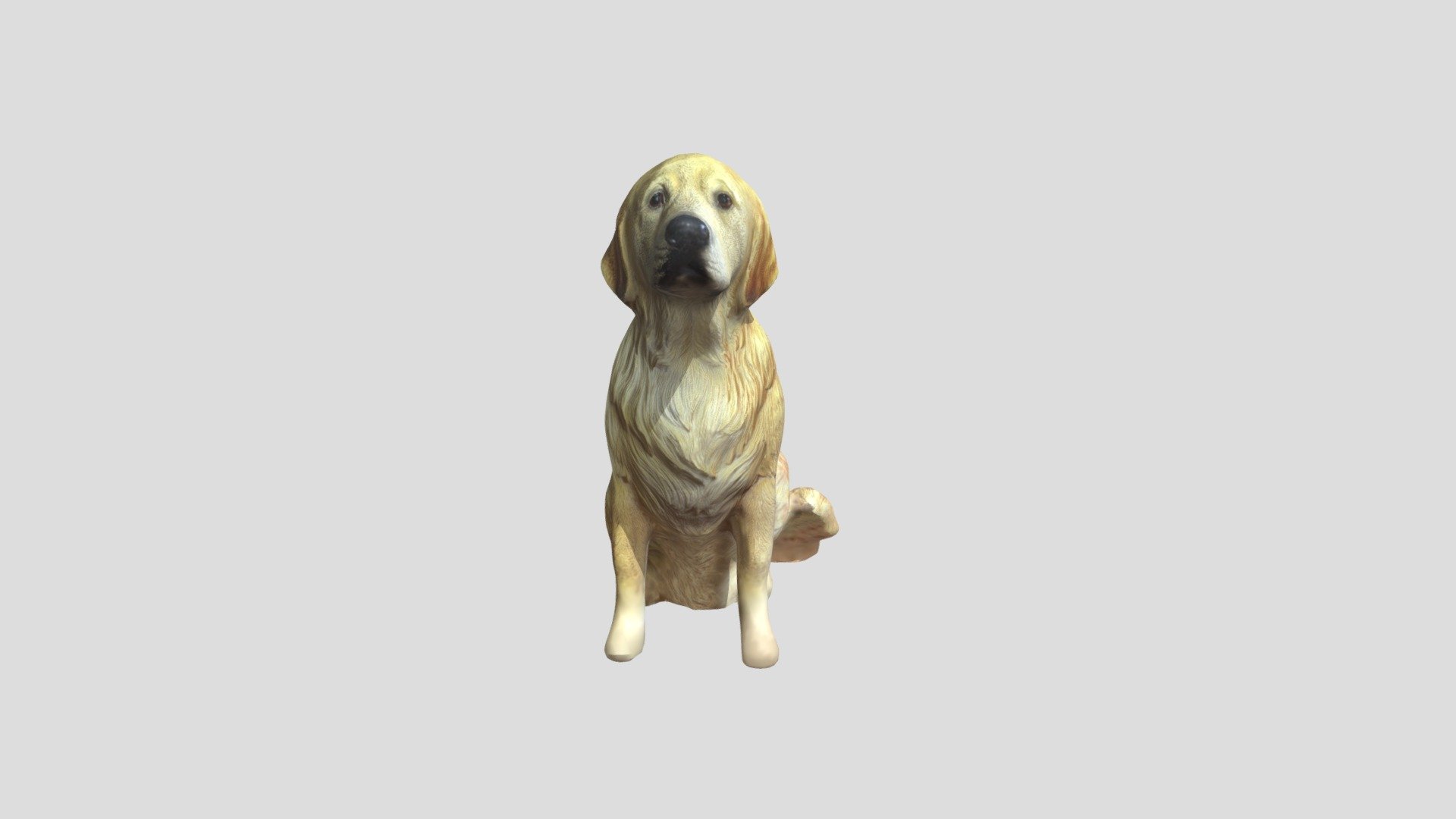 W23-Capstone - 3D Scan - Dog - Download Free 3D model by yaojie.li ...