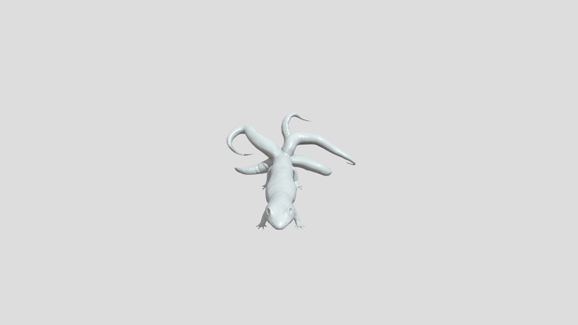 Salamander Animated - 3D model by keybard [027a39a] - Sketchfab