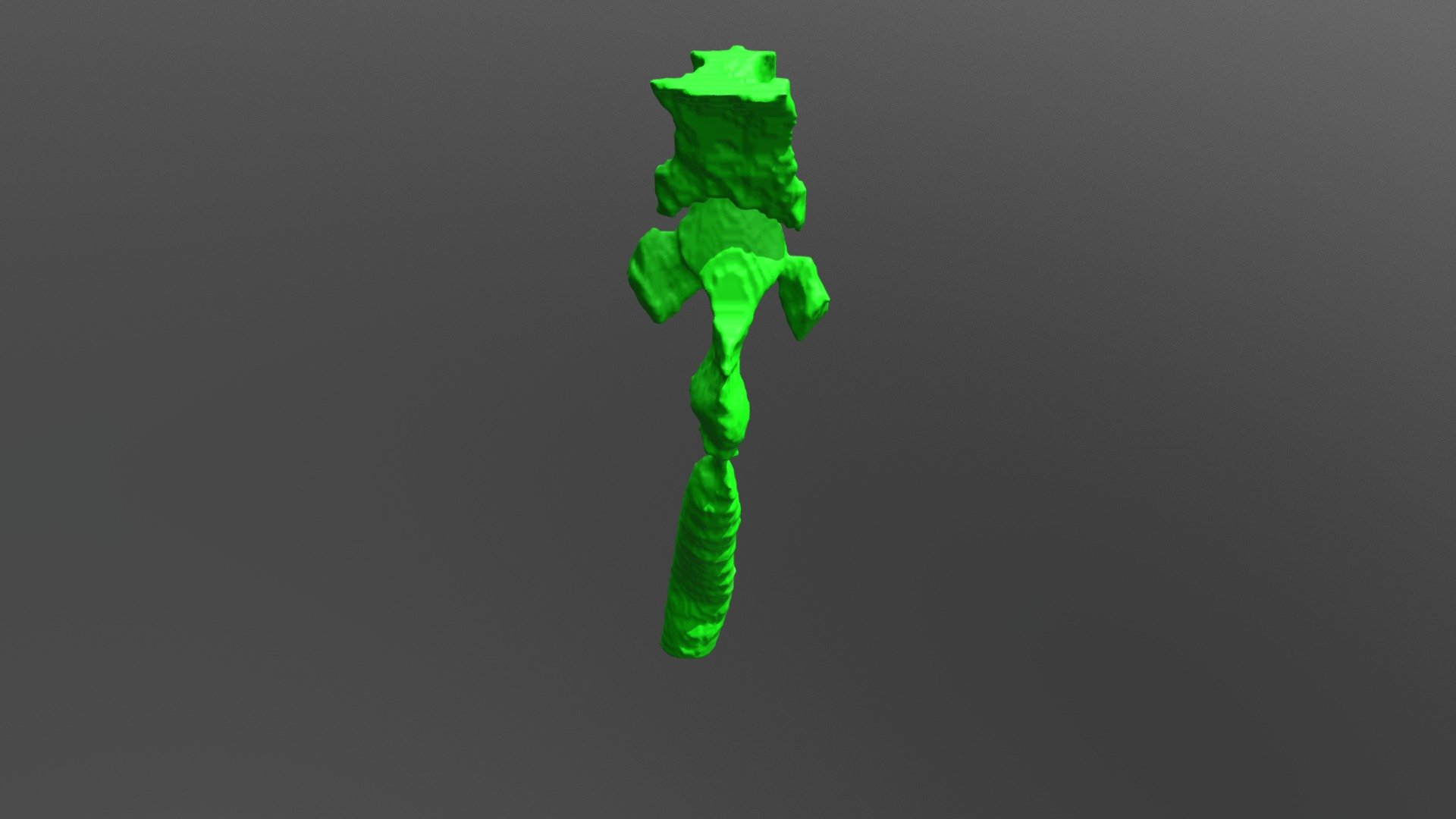 Trachea - 3D model by dontchangela [027f84b] - Sketchfab