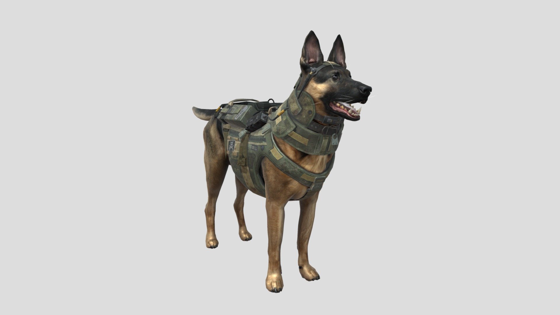 Riley_fur - 3D model by U.A.C.WAD (@hilalarican23) [0280b4b] - Sketchfab