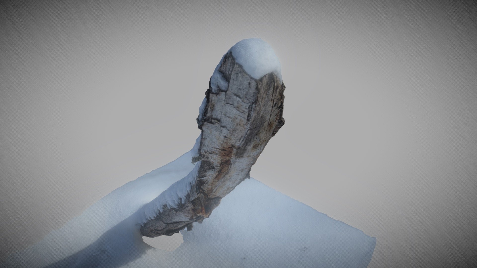 Dead Tree Trunk - Download Free 3D model by Migg [028270f] - Sketchfab
