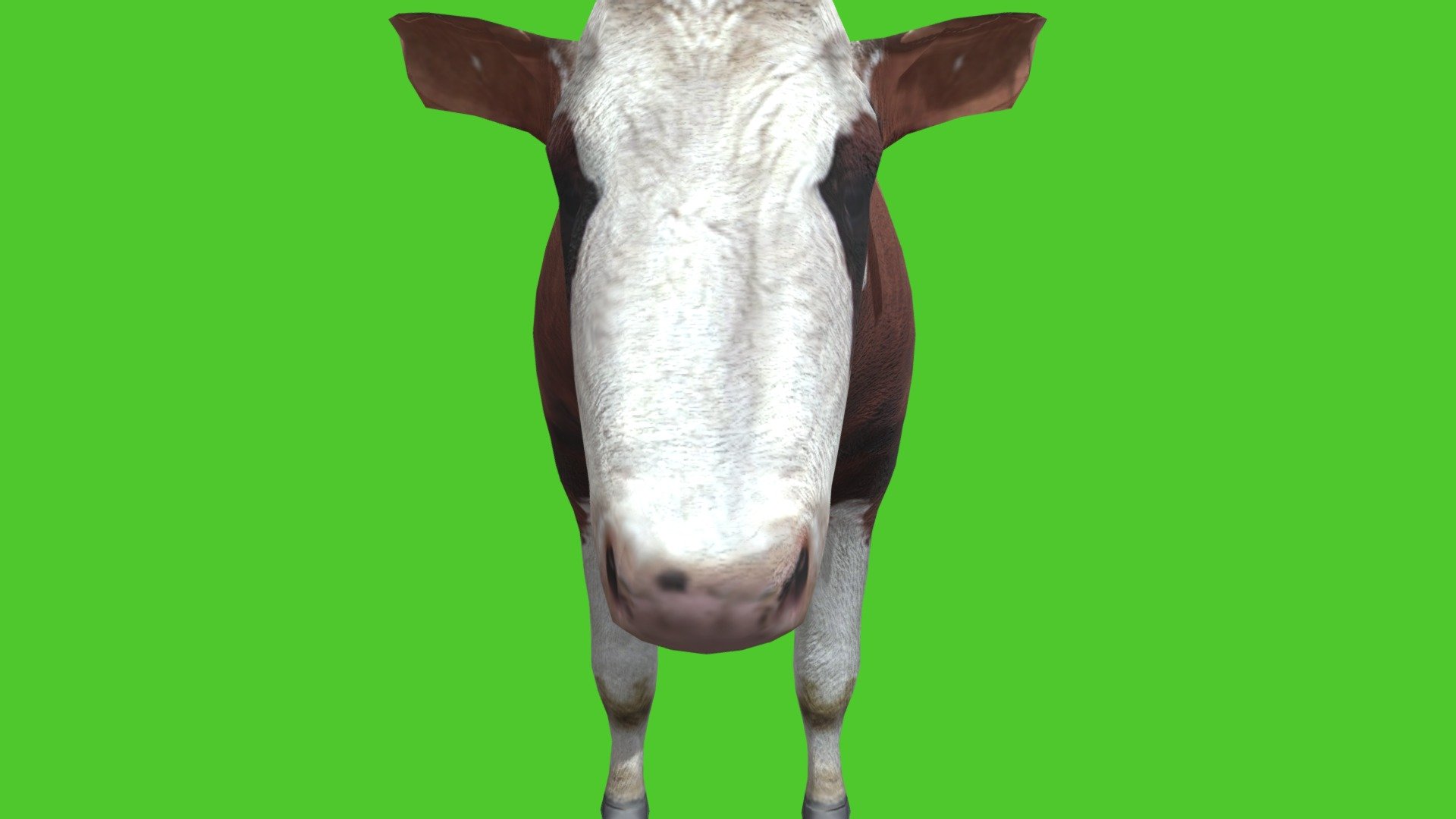 Cow - Download Free 3D model by teacherap123 [0282c33] - Sketchfab