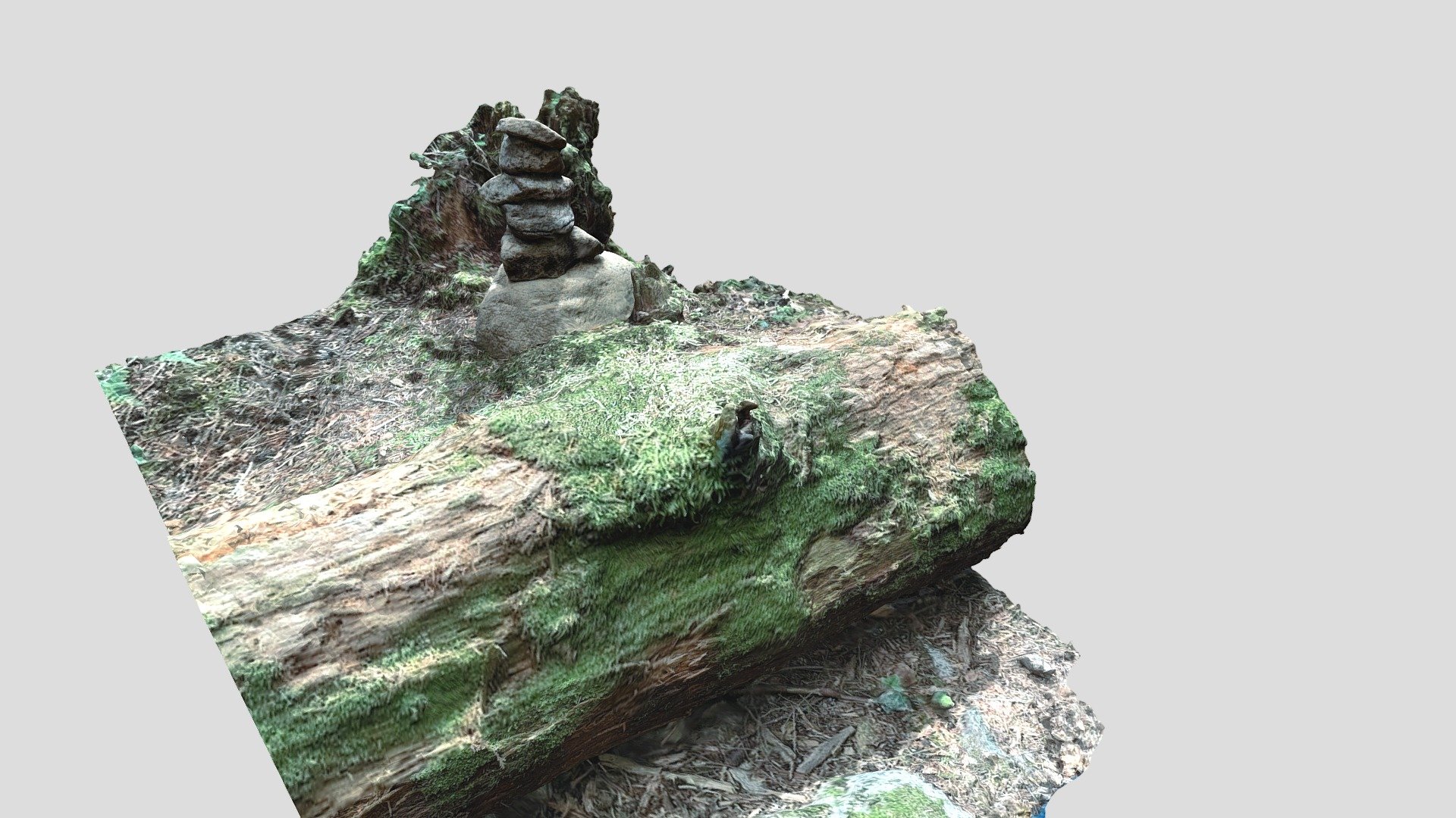 Quarry Rock Hike Hoodoo Sculpture - 3D model by GaidaCanix [0286e11 ...