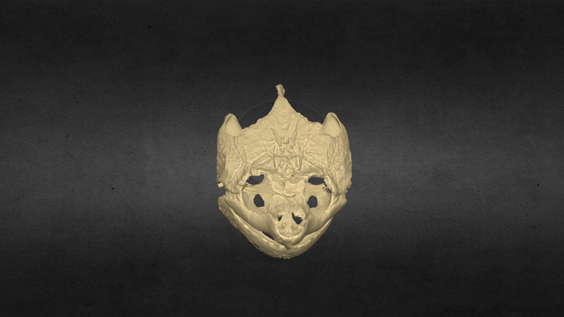 snapping turtle skull - 3D model by 3DScan4You.de (@3dscan4you ...