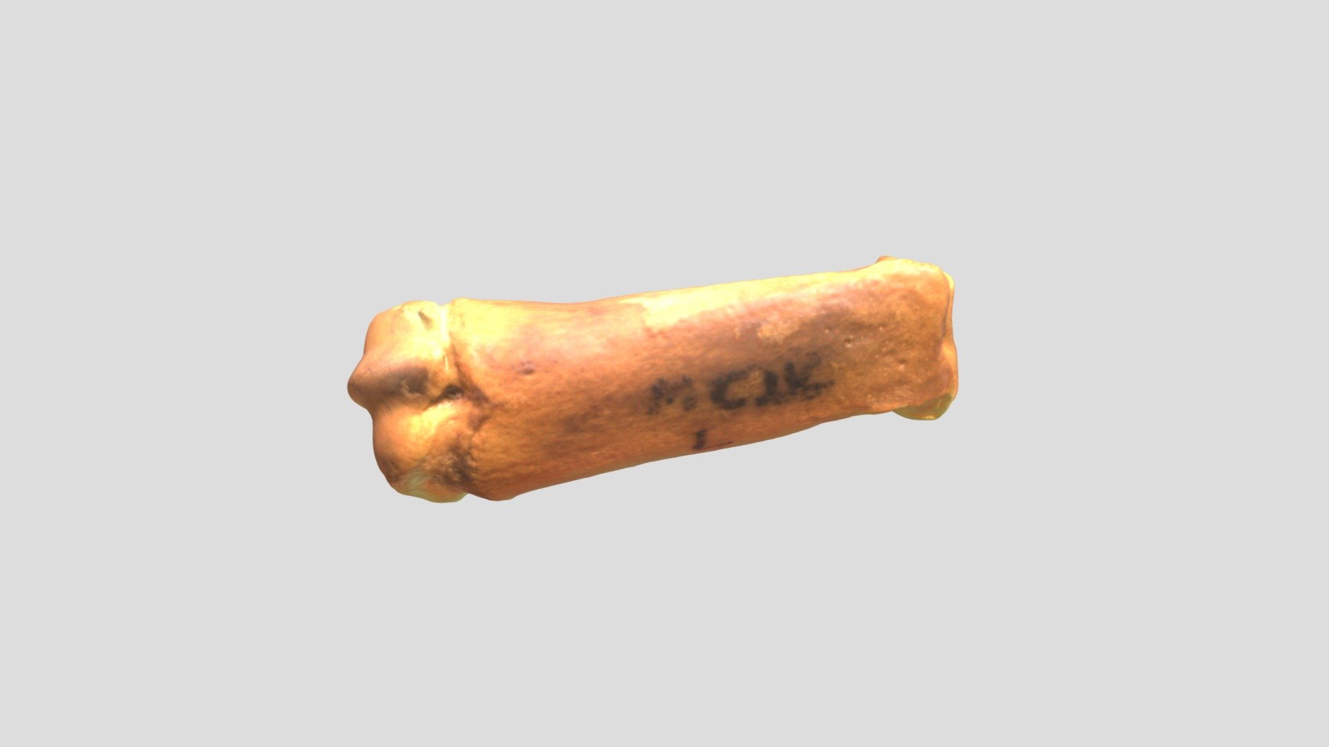 Sus scrofa (pig) - L metacarpal IV - 3D model by osteoarchaeology ...
