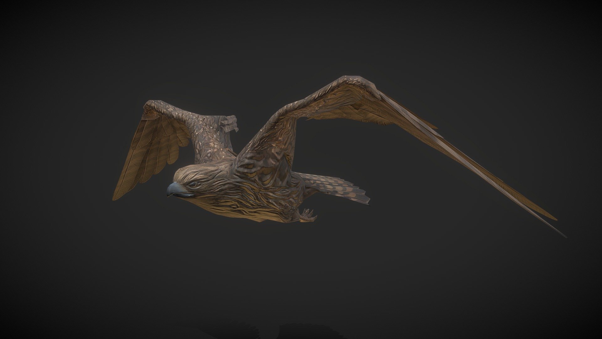 Animals: Hawk - 3D model by Klaudia Naumann (@klaudia_naumann) [02970a9 ...