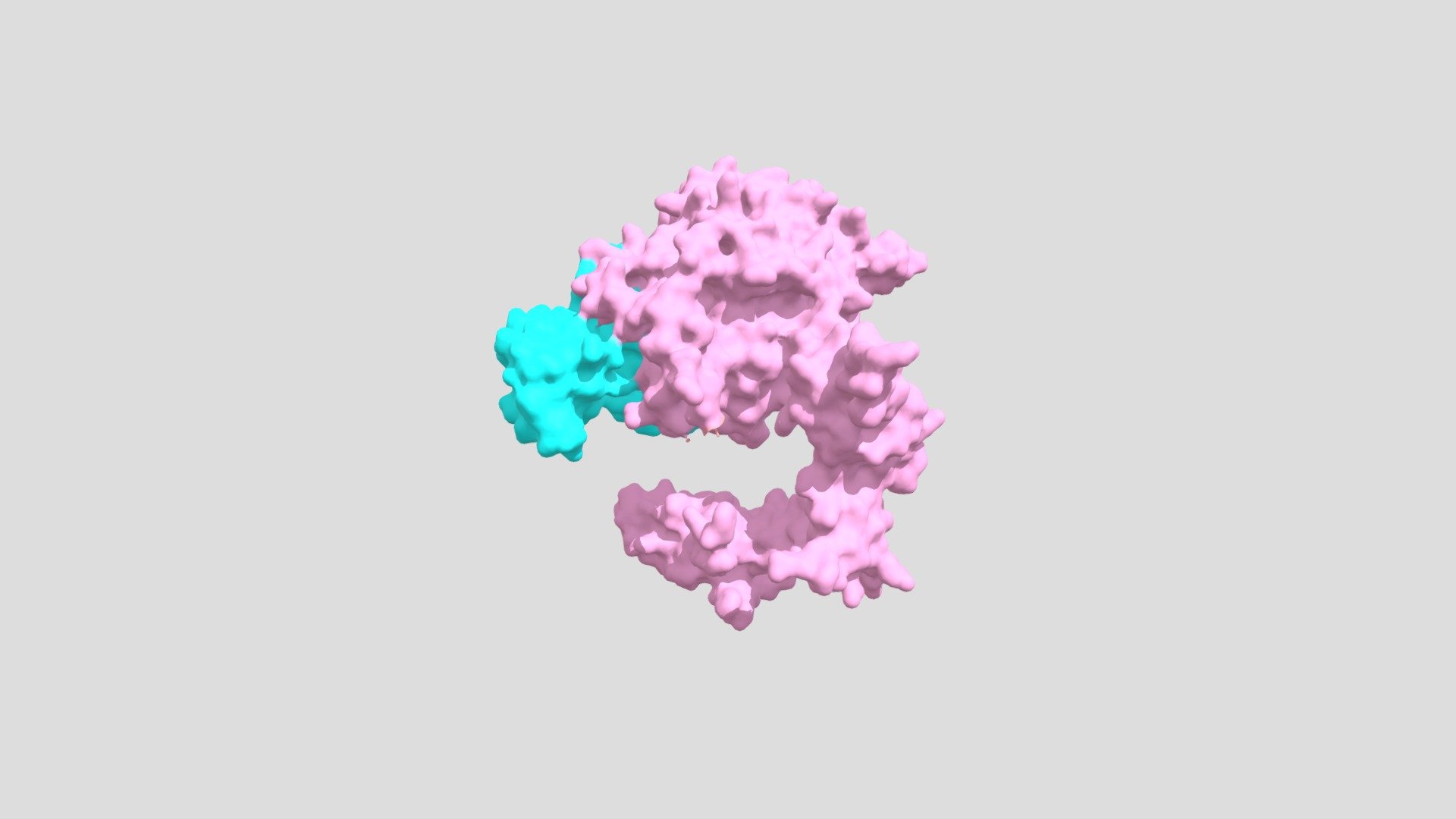 RAD4-RAD23 - 3D model by einc7282 [029d41a] - Sketchfab