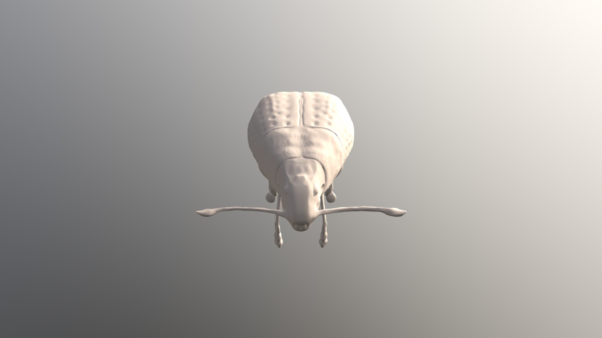 Bug Model - 3D model by rubenverdufernandez [02a42df] - Sketchfab