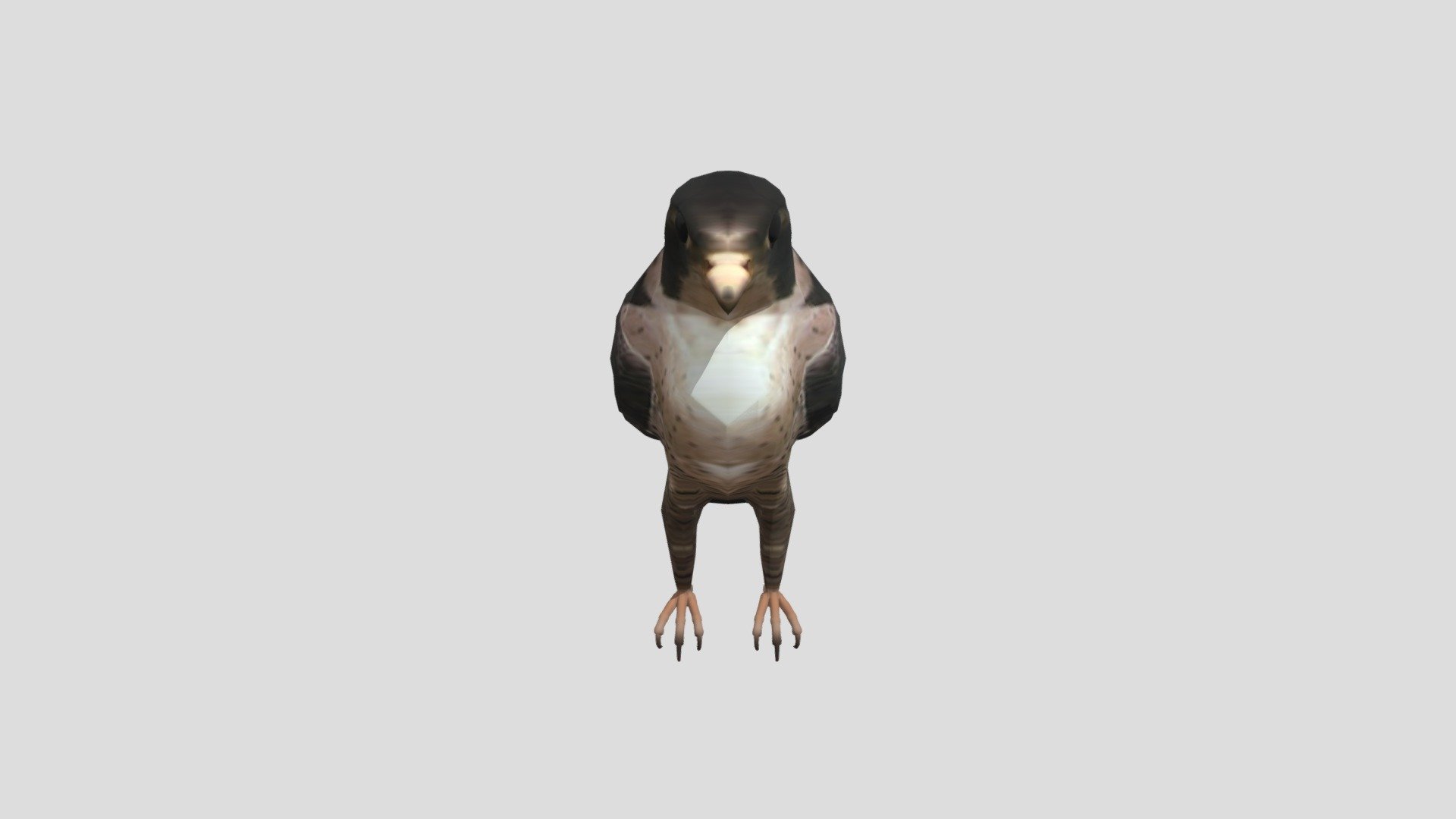 falcon - Download Free 3D model by 69.ash.lucas.69 [02a4618] - Sketchfab