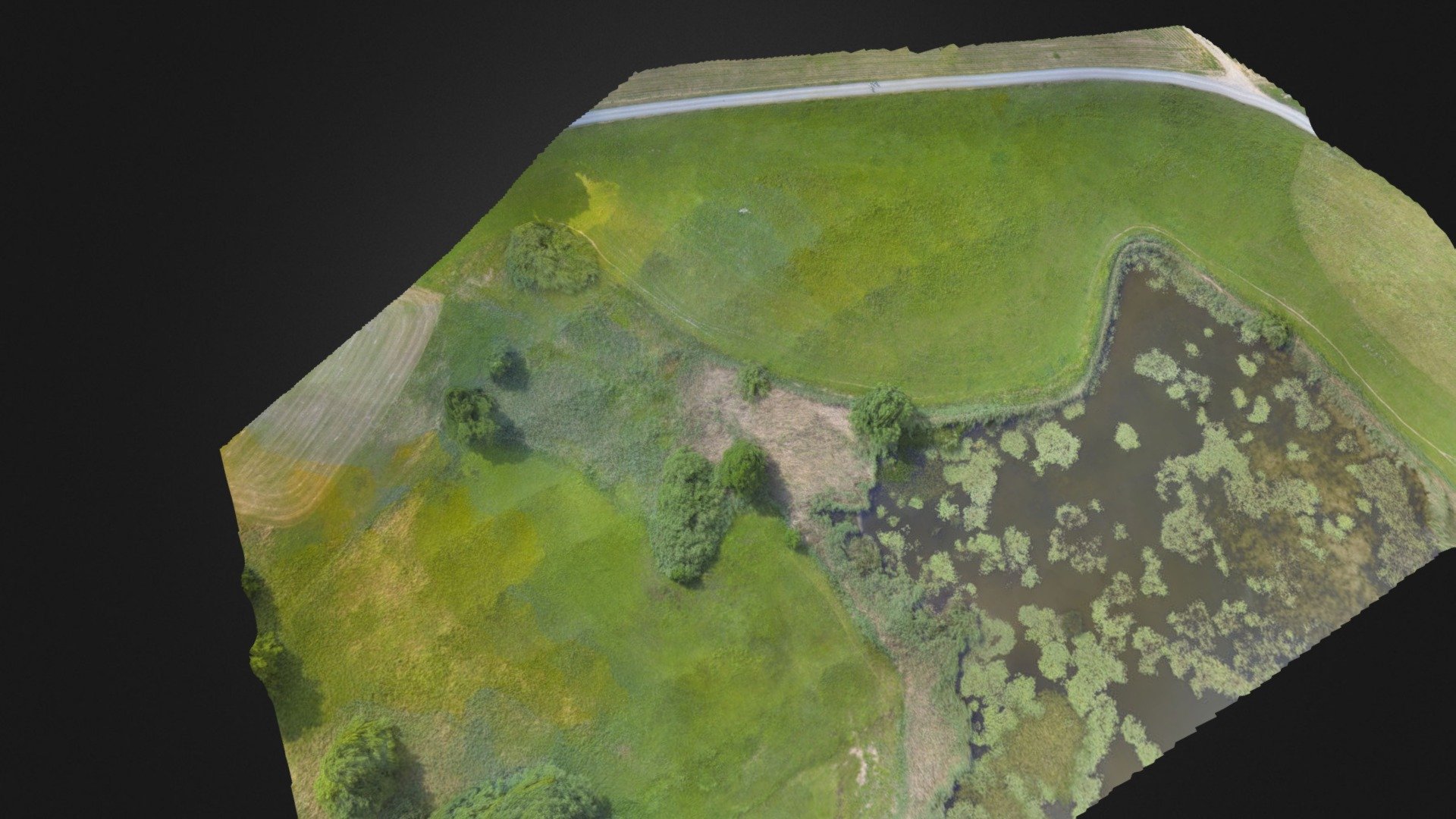 See2 - 3D model by DimiRCC [02a476d] - Sketchfab