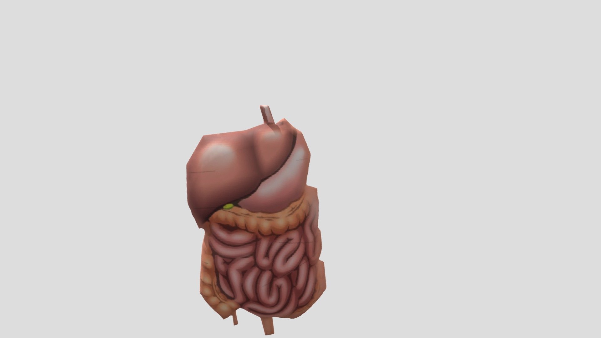 Zahra - Siswa - 3D model by zahra dianisa maharani (@nengzahra557 ...