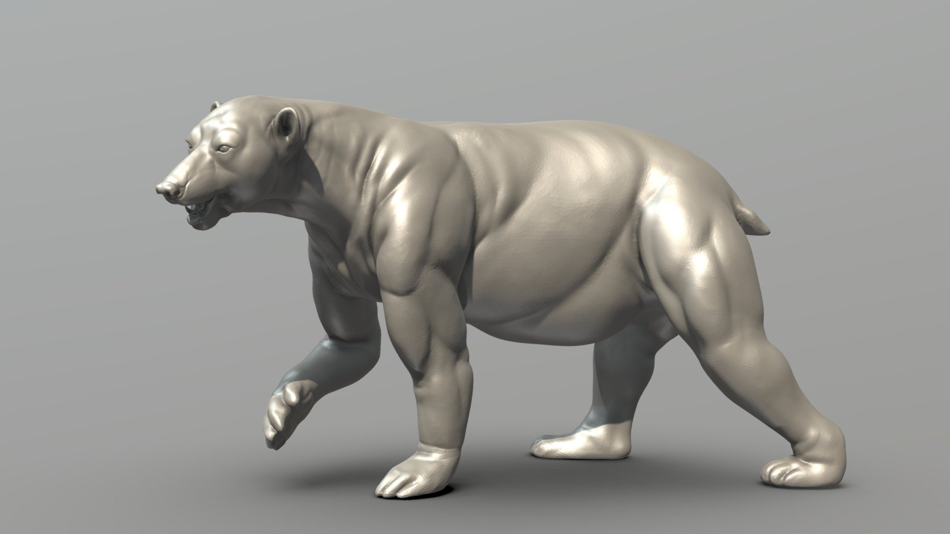 Sculpting - Polar Bear - 3D model by Nestaeric [02aa171] - Sketchfab