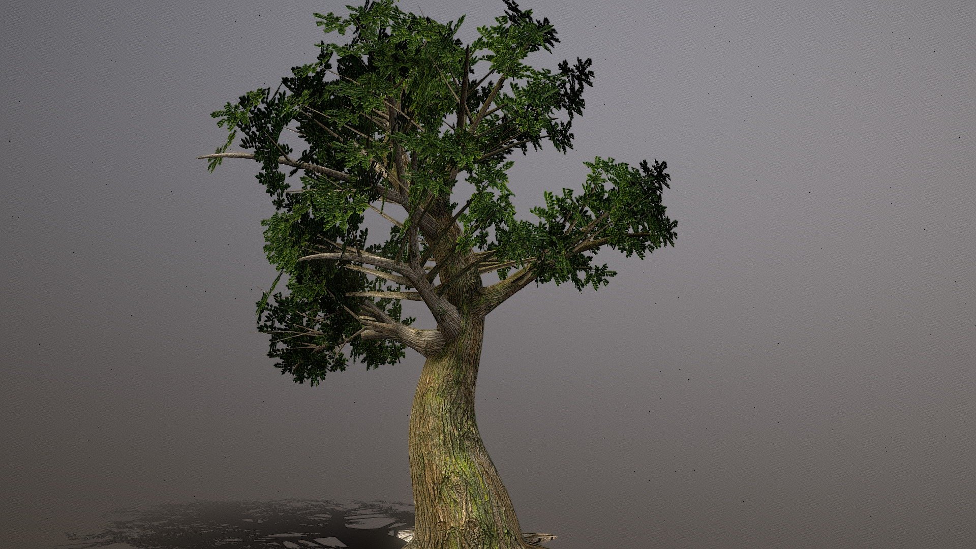 Tree - Download Free 3D model by Alex791 (@alexcarralero791) [02aa37a] - Sketchfab