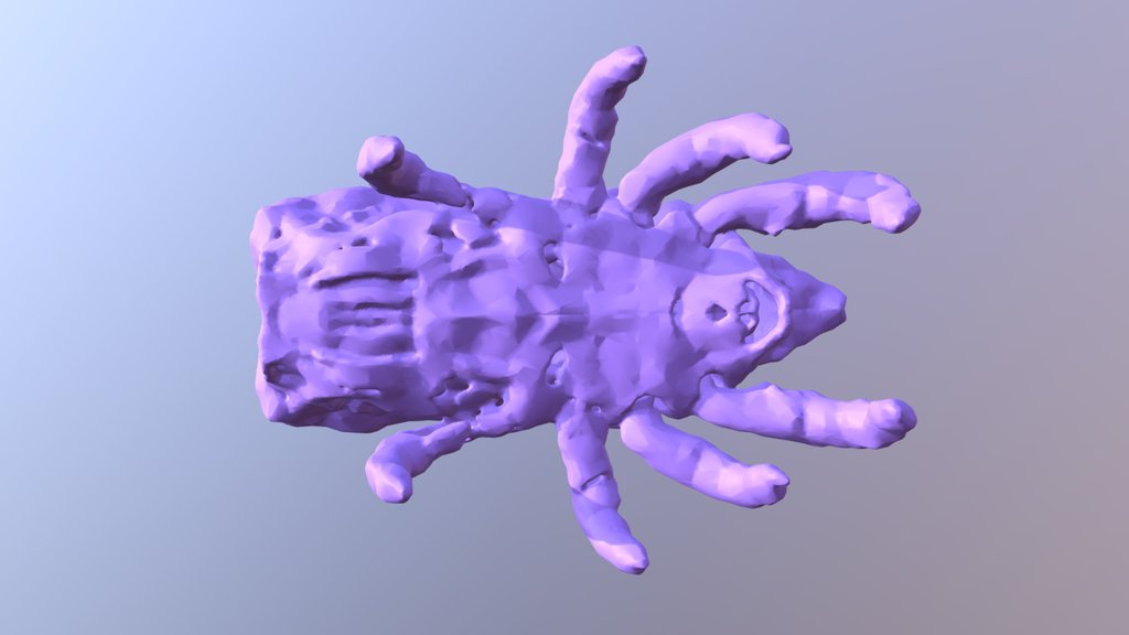 3D printing data from enlarged museum specimens - A 3D model collection ...