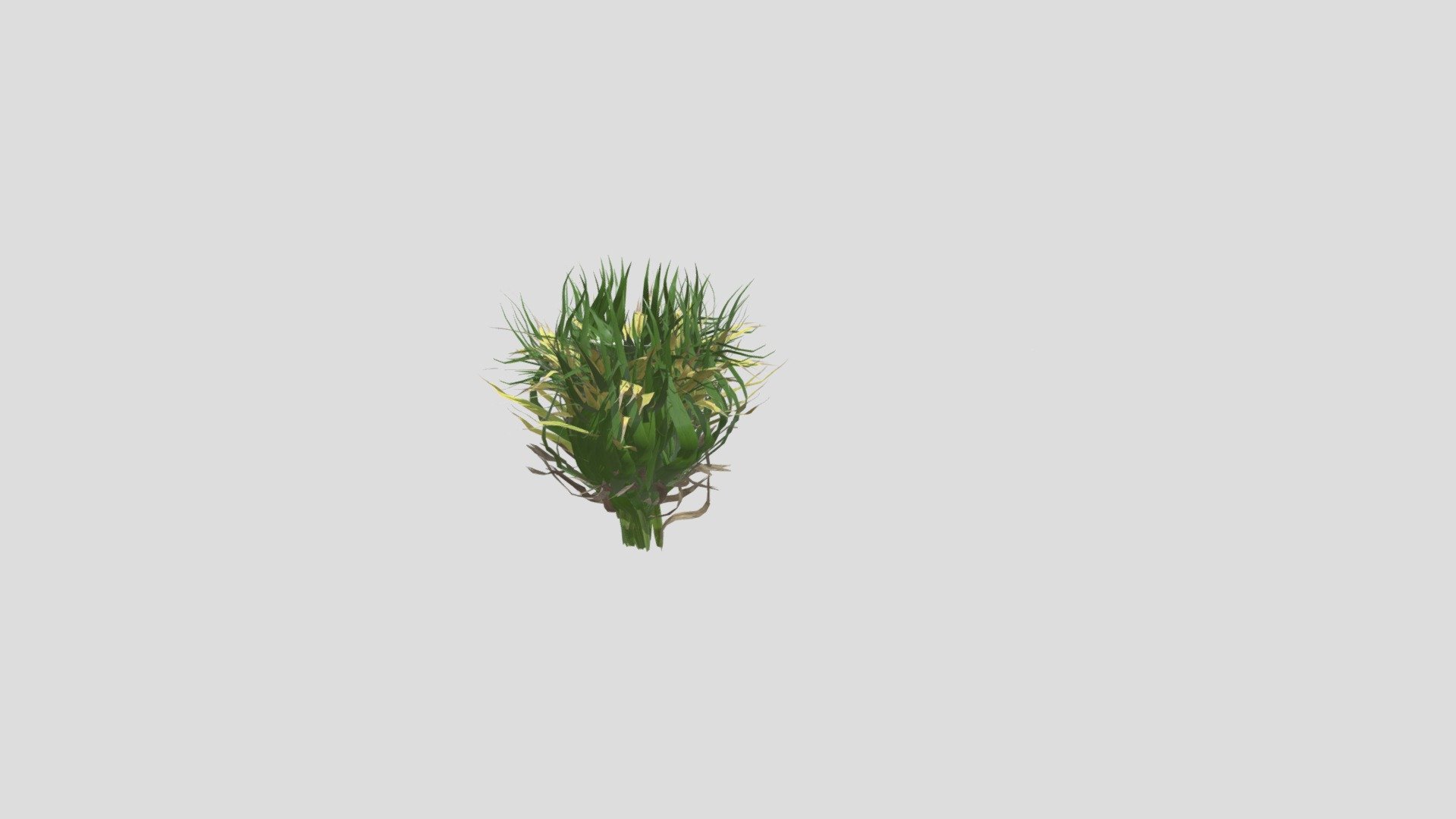 grash big - Download Free 3D model by jackmmc [02adad8] - Sketchfab