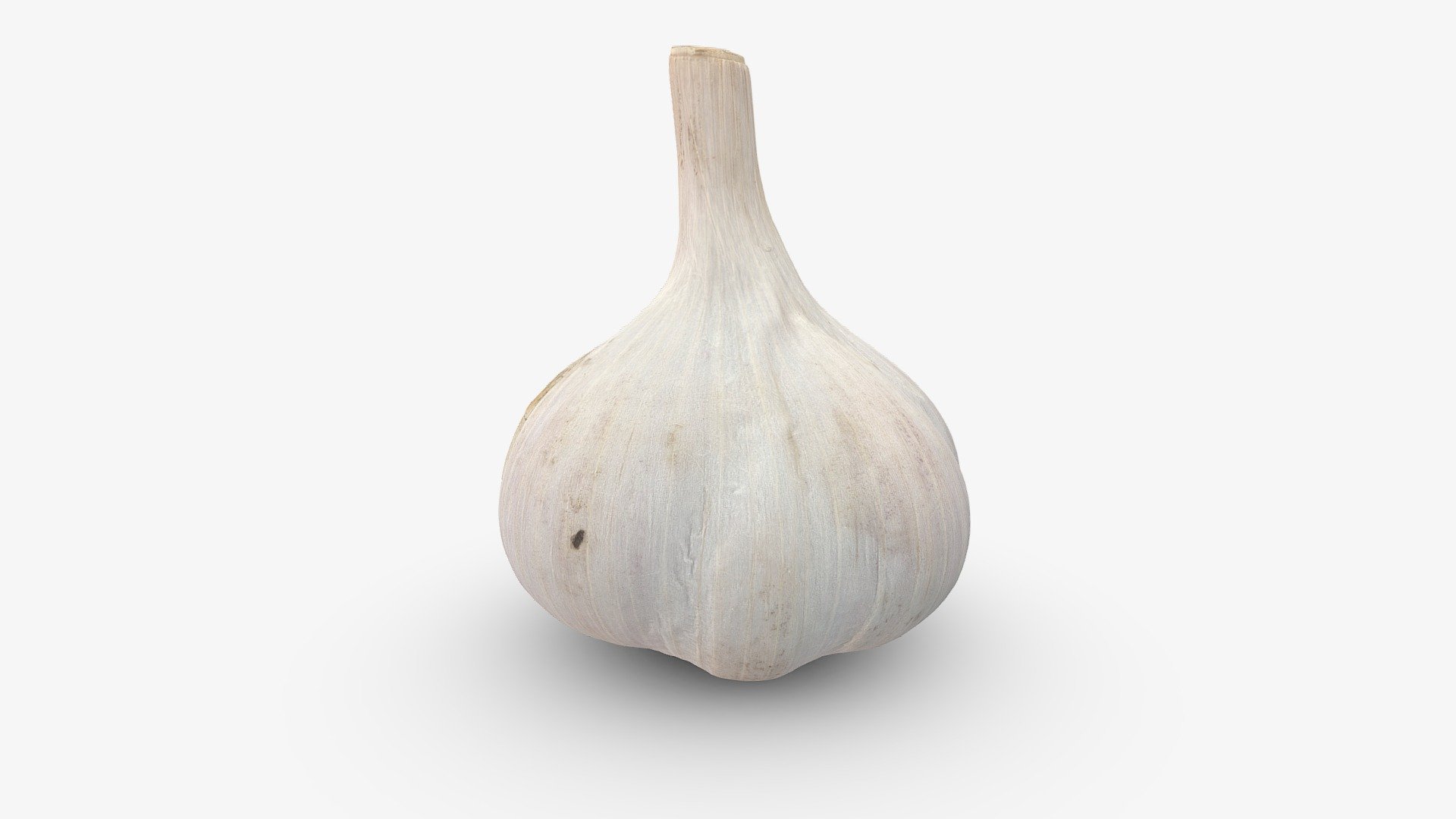 Garlic - Download Free 3D model by 3DSCANPRO (@bemute) [02b23df ...