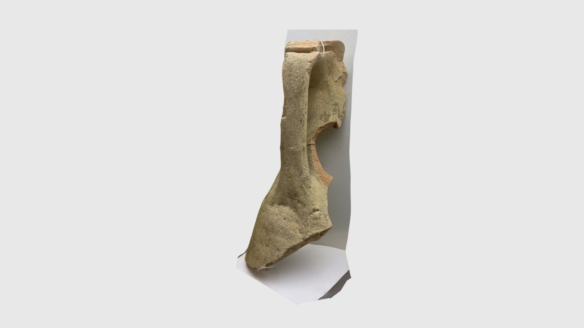 Lasca - Download Free 3D model by etpc [02c1b09] - Sketchfab