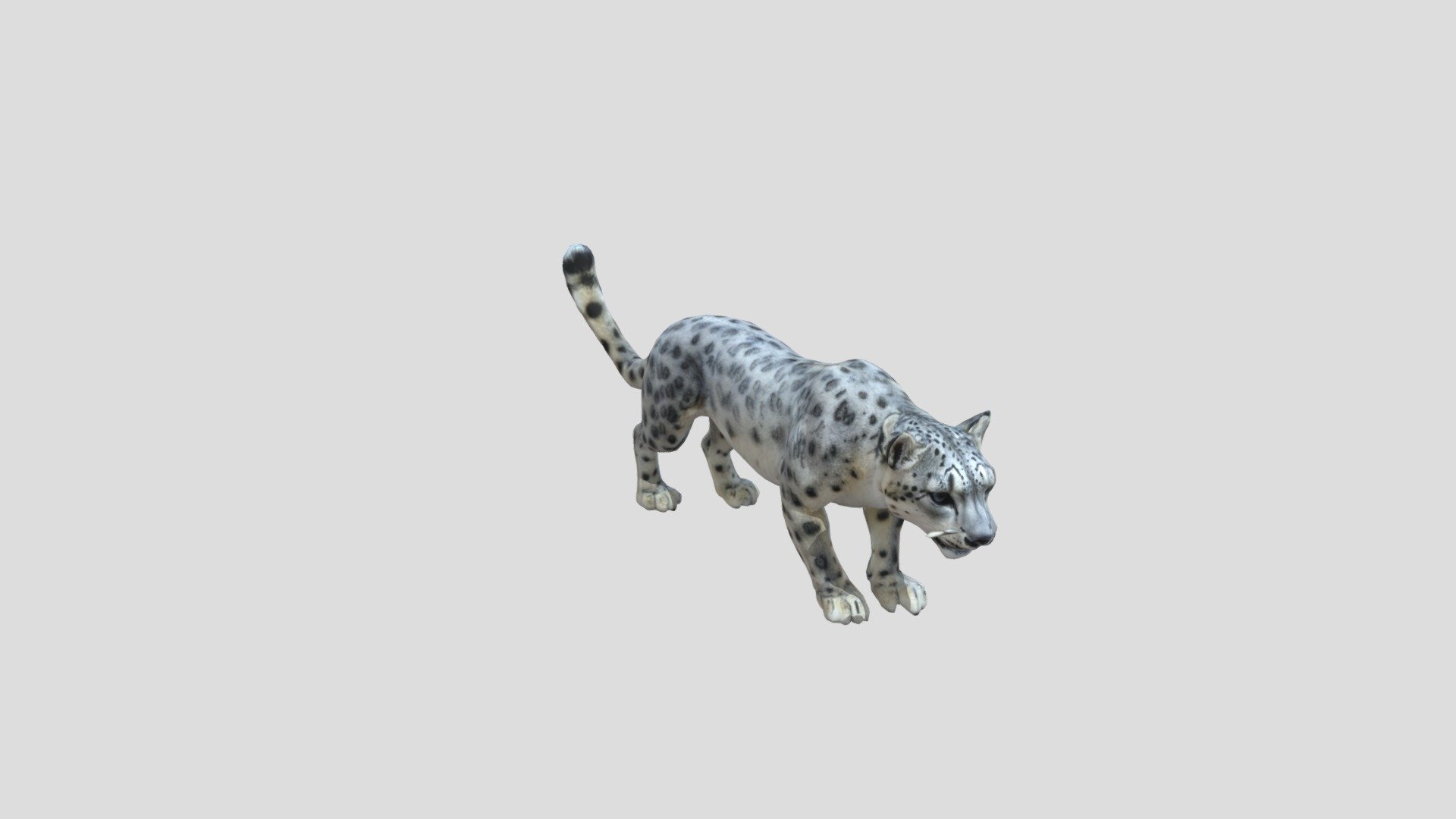 Snow leopard - 3D model by ShibaWorks,Inc. (@kanta.yamamoto) [02c78c1 ...