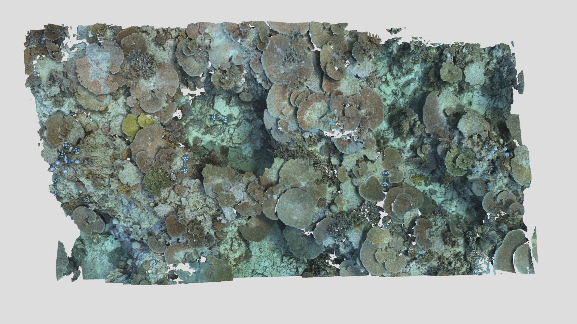 Heron_BA1S_P1_202105 - Download Free 3D model by EcoRRAP (@AIMSEcoRRAP ...