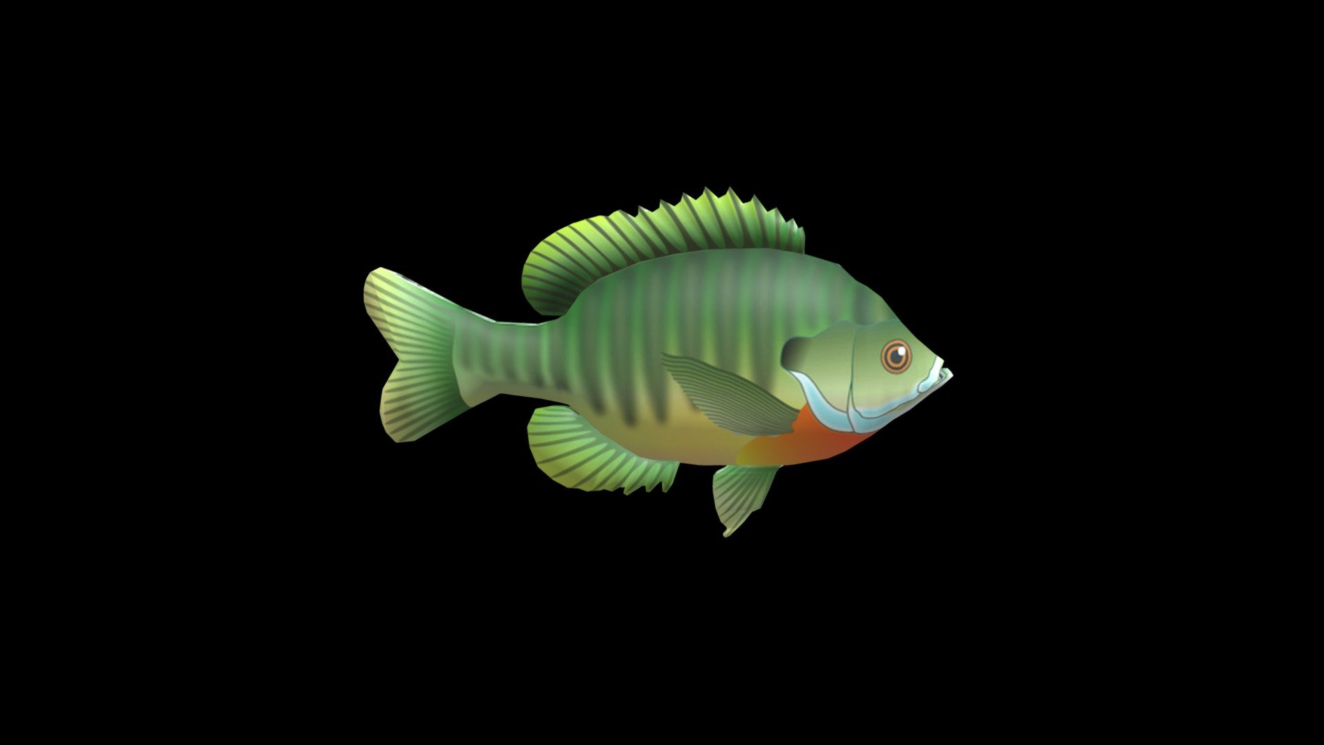 Low-Poly Bluegill Fish - Download Free 3D model by TepidGames [02cd46e ...