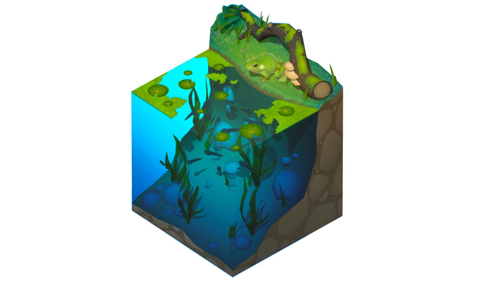 Frog Swamp Diorama - Download Free 3D model by Norah (@NorahvanNimwegen ...