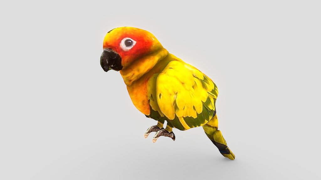 Birds - A 3D model collection by KinchNicolas - Sketchfab