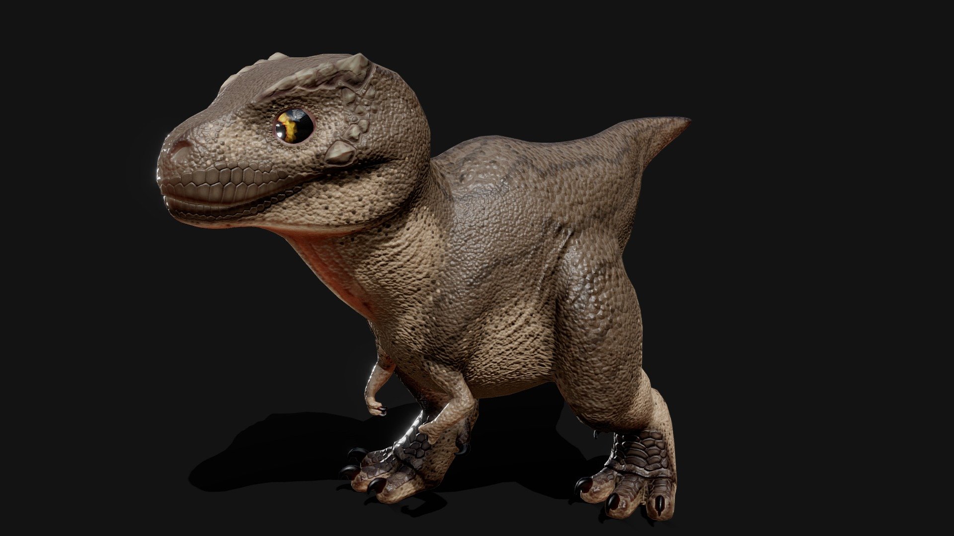 Little T-Rex - Buy Royalty Free 3D model by Pedro B. Goulart (@Pebegou ...