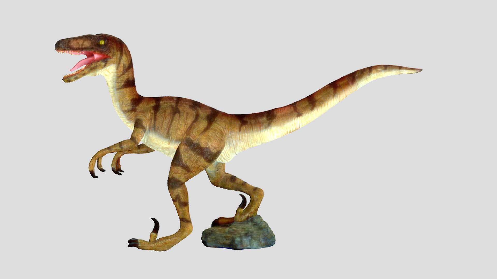 raptor - 3D model by TheInteriorGallery [02db06f] - Sketchfab
