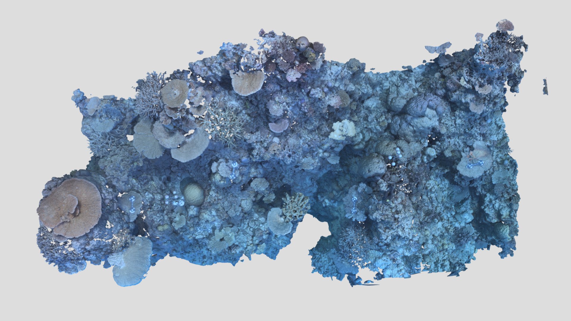 Davies_BA1S_P3_202101 - 3D model by EcoRRAP (@AIMSEcoRRAP) [02e5842 ...