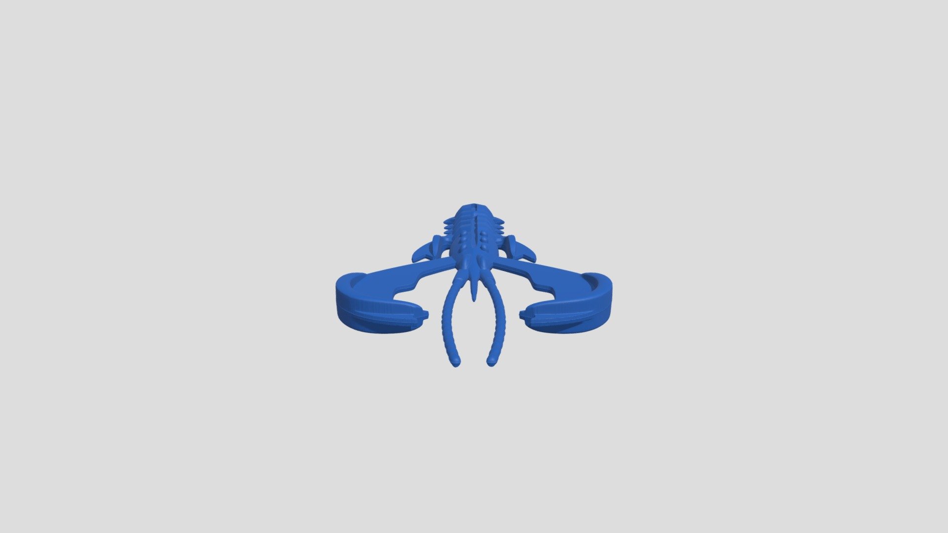 Nimble - 3D model by gruzik.sergei [02e92a5] - Sketchfab