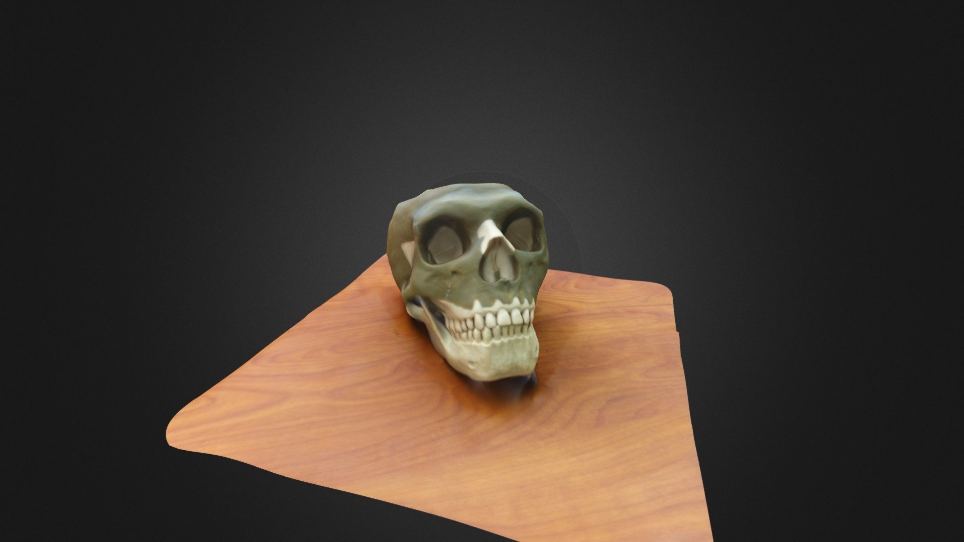Neanderthal - 3D model by suemruth [02ecf83] - Sketchfab