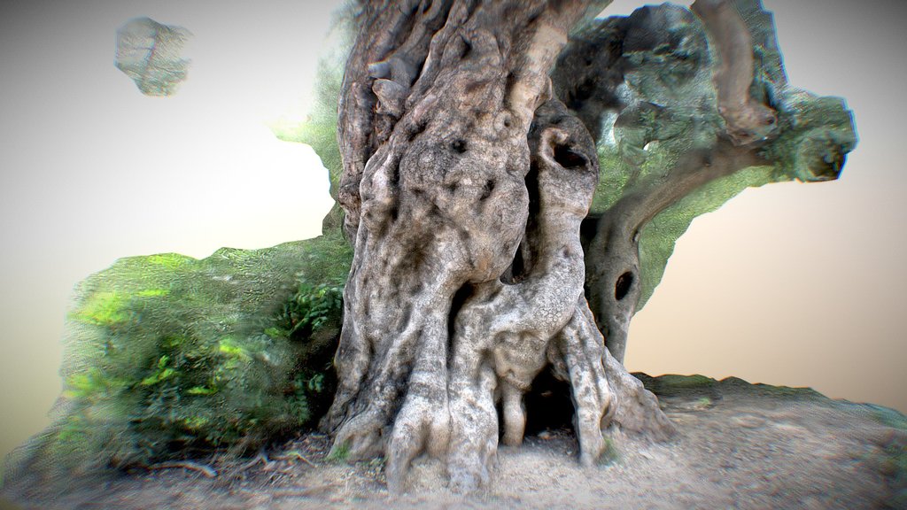 forest - A 3D model collection by paska - Sketchfab