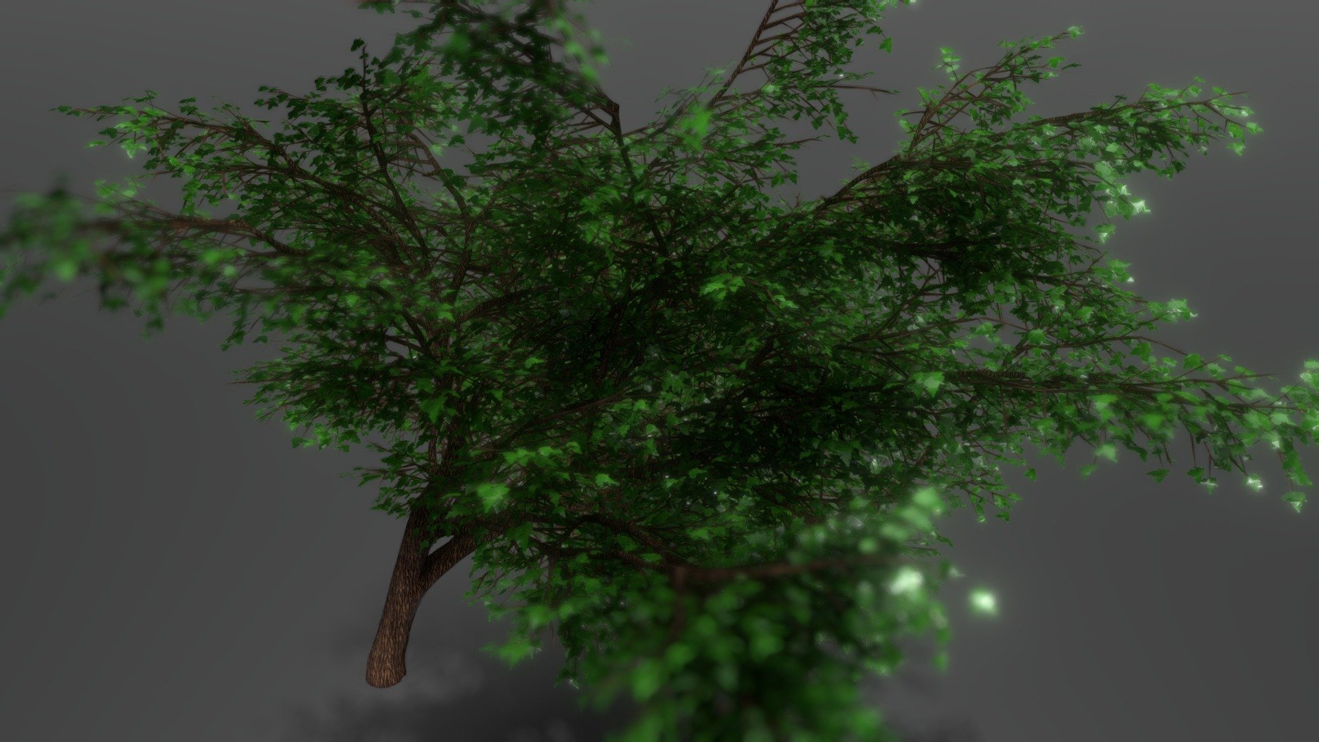 Simple Tree - Download Free 3D model by Somersby [02f26ce] - Sketchfab