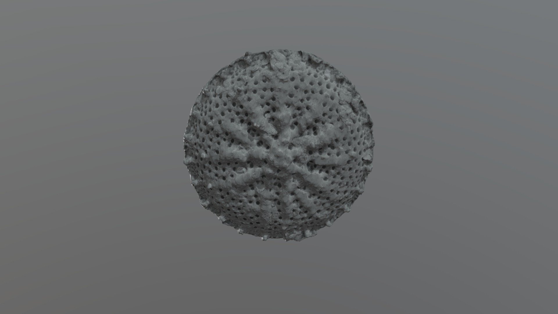 Photogrammetry based 3D diatom model Movie - 3D model by rcgear_japan ...