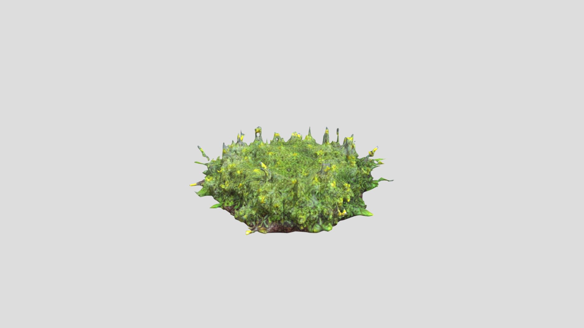 a_green_shrub (1) L - Download Free 3D model by stefanorivera [030382d ...
