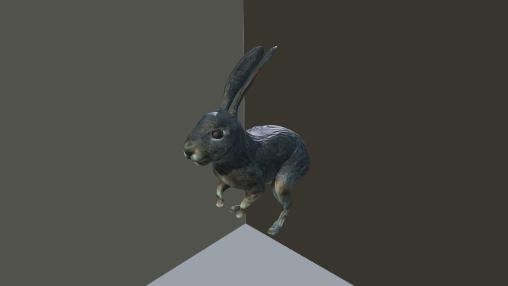 Rabbit - 3D model by chrisli328 [0305a8f] - Sketchfab
