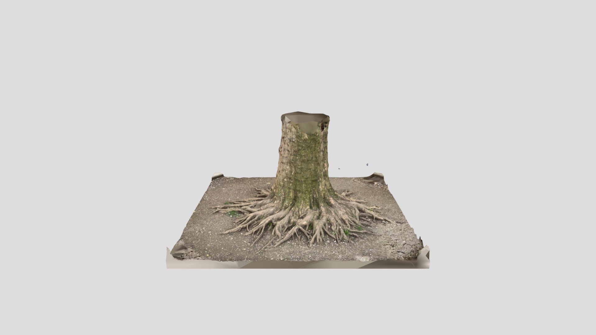 Scan 2023-05-17T13:23:36.167Z - 3D model by merzila [03068e3] - Sketchfab