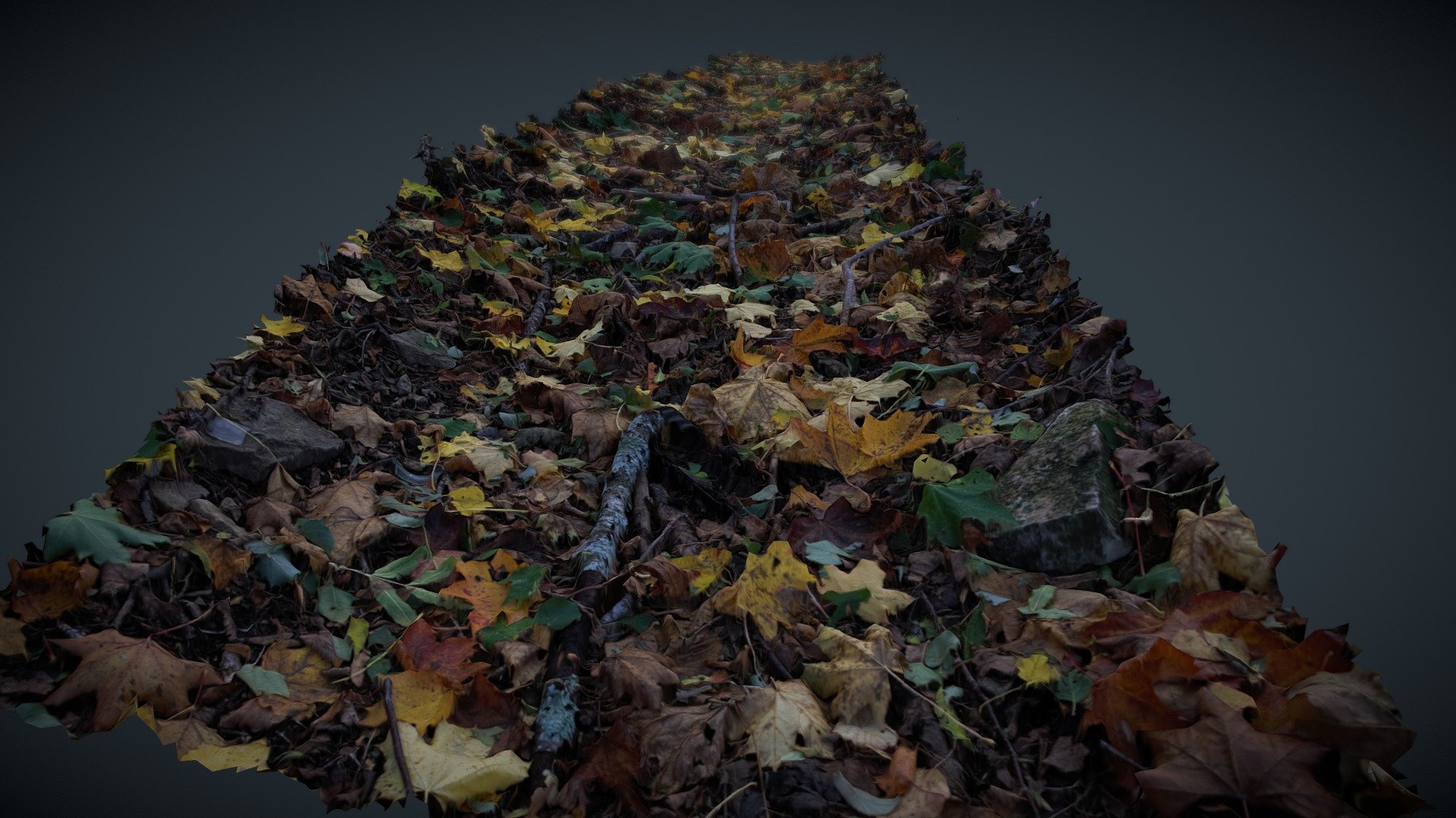 An Autumn Forest Trail - Download Free 3D model by region_60 [0307f08 ...