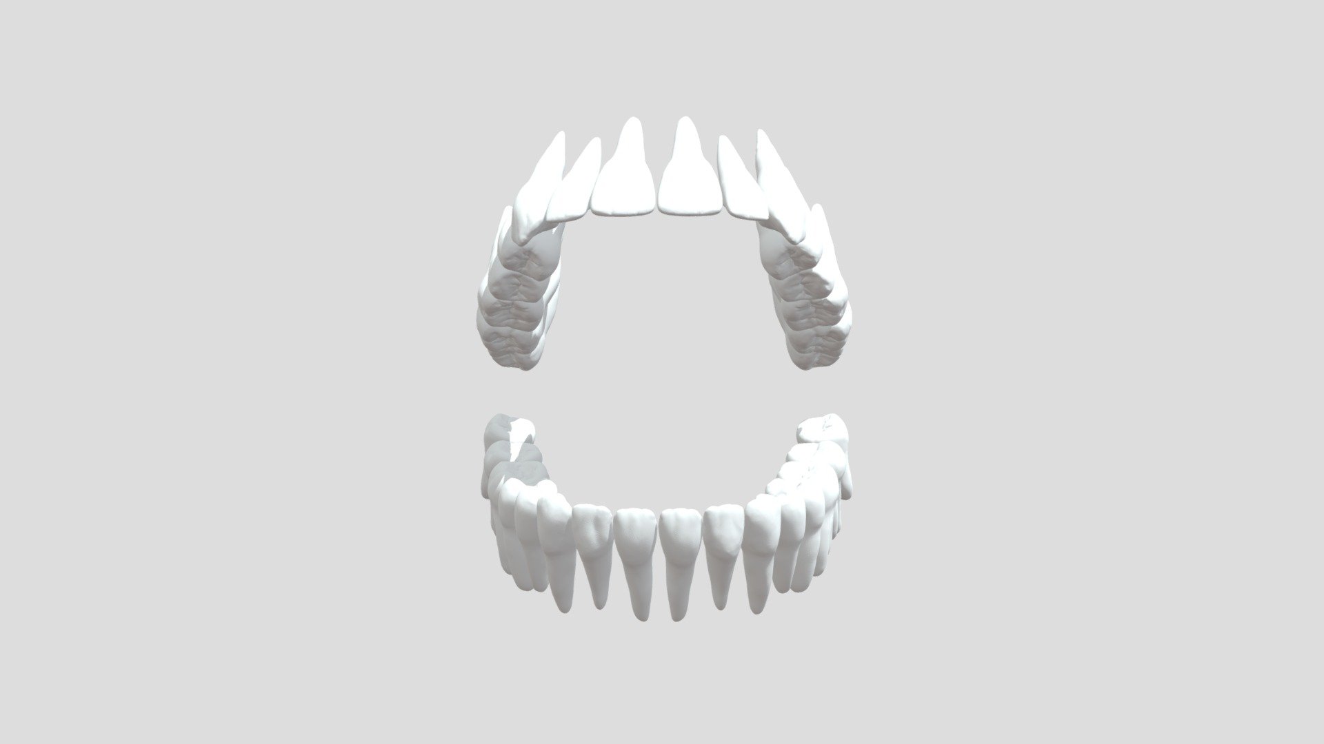 teeth - 3D model by 3dwave [03088ea] - Sketchfab