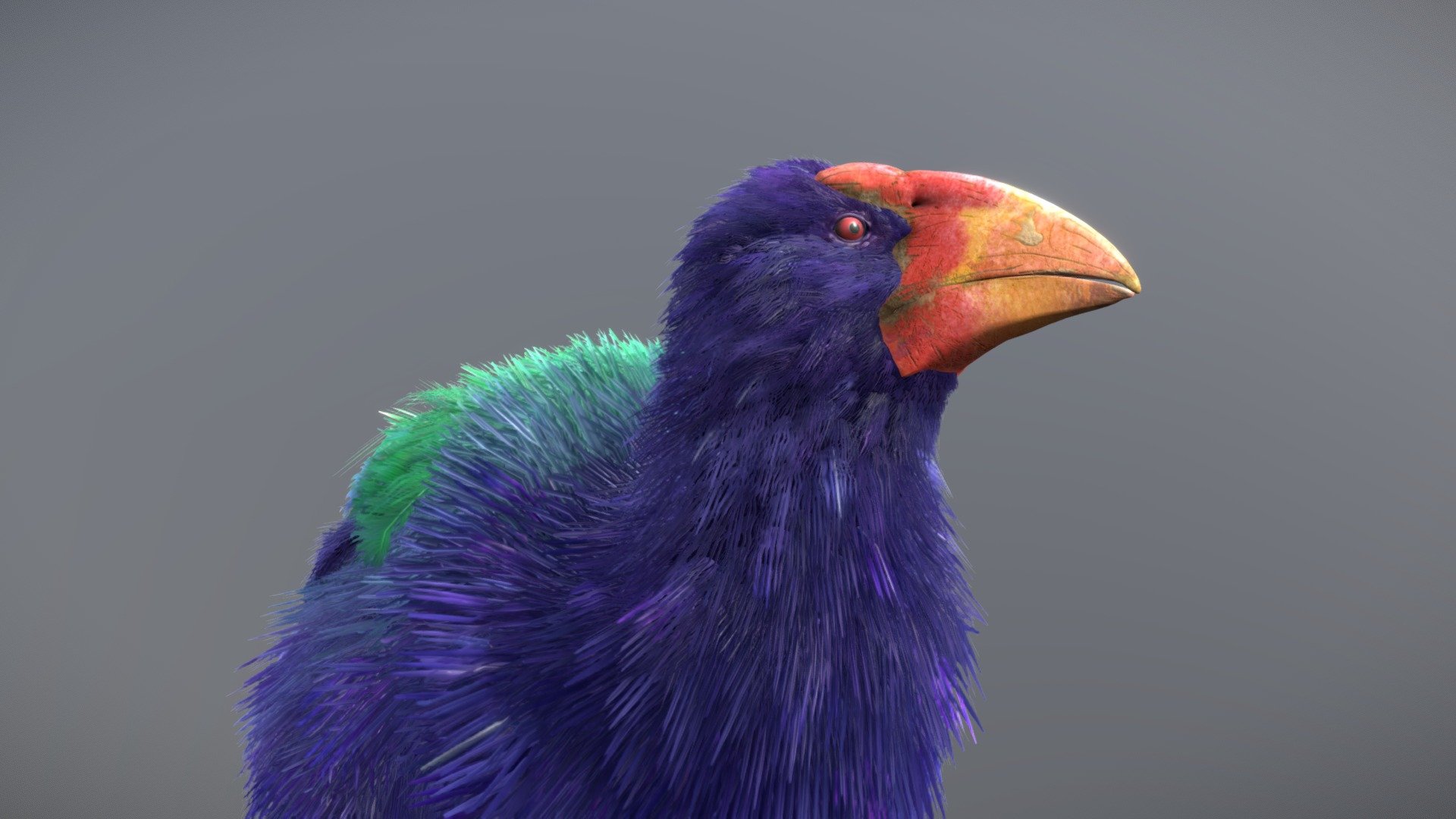 South Island Takahē - Buy Royalty Free 3D model by Nestaeric [030a857 ...