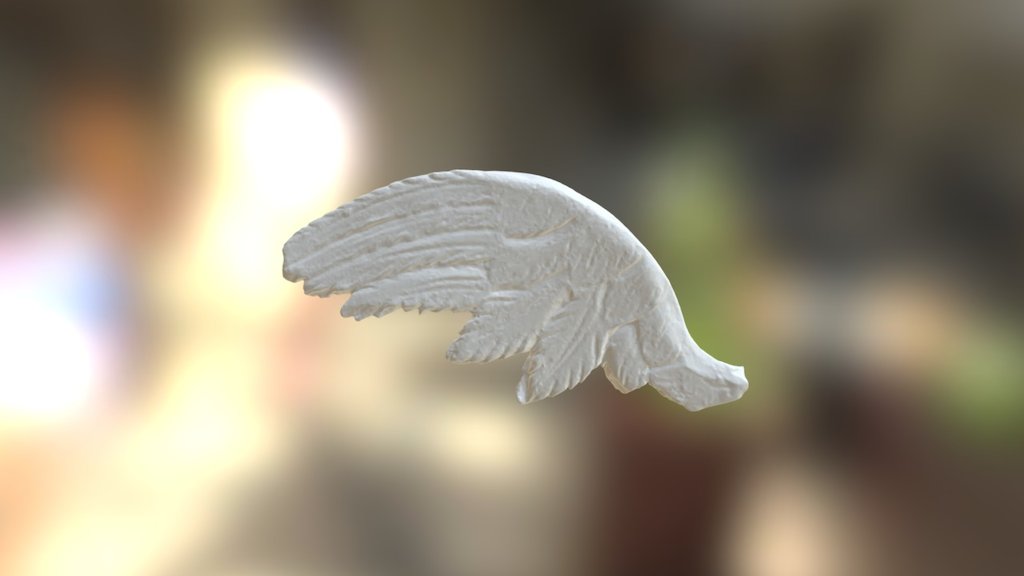 Angel Fin Decimated - 3D model by prototeam [030aa67] - Sketchfab