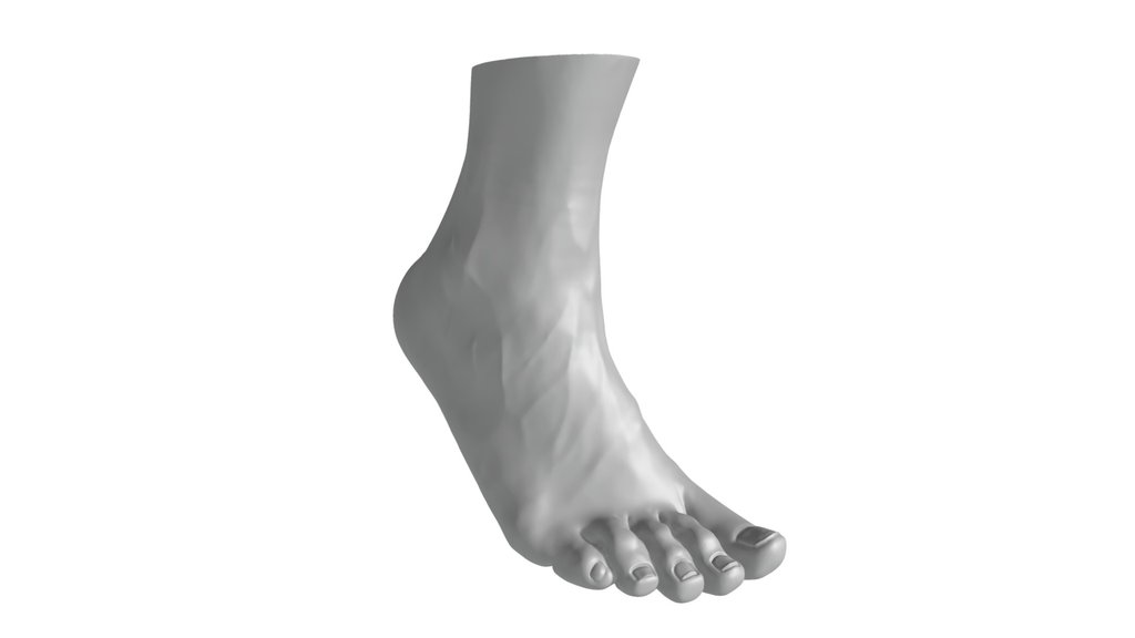 feet - A 3D model collection by wiiman86 - Sketchfab