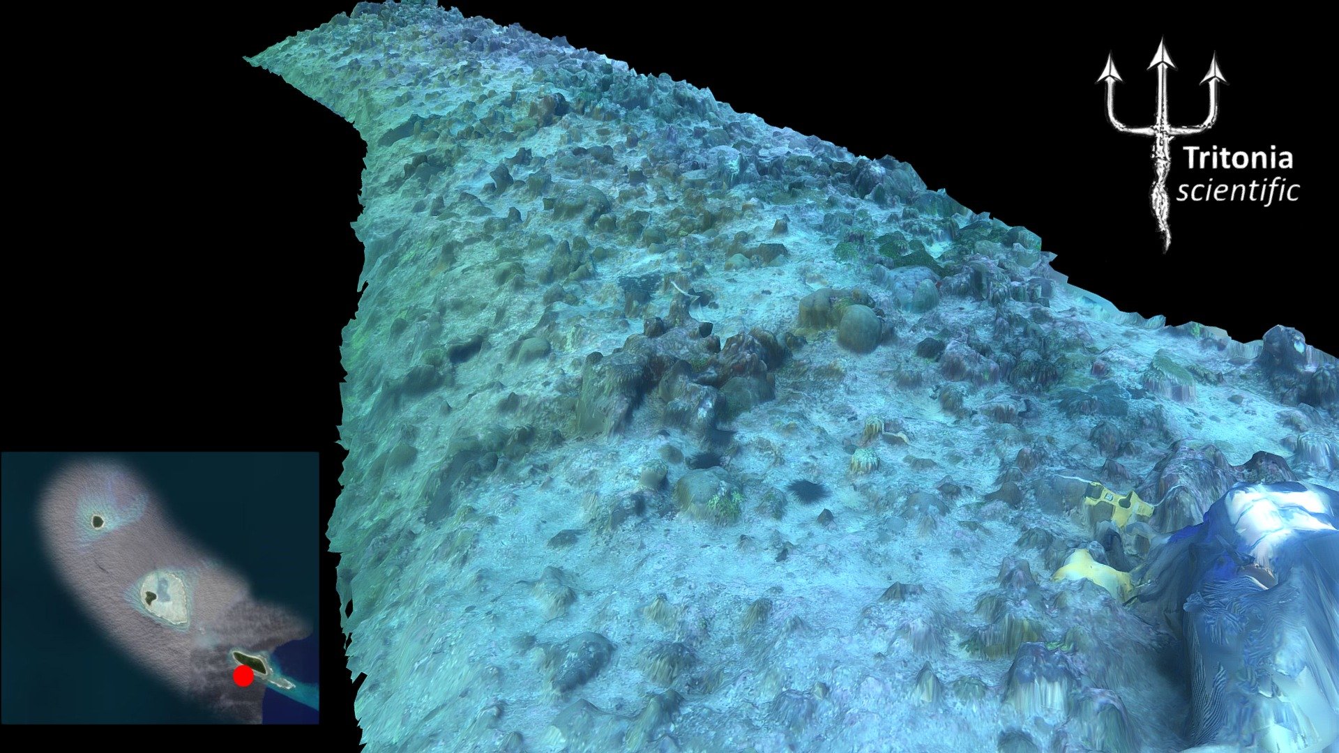 South Brother, Great Chagos Bank, 10m - 3D model by Tritonia ...