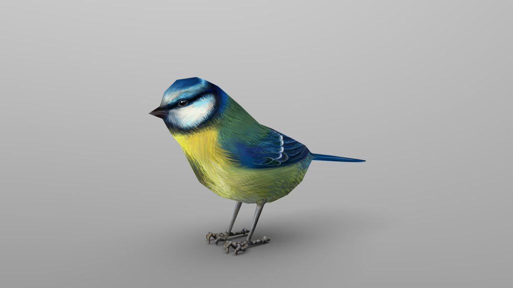 bird - A 3D model collection by viettextures - Sketchfab