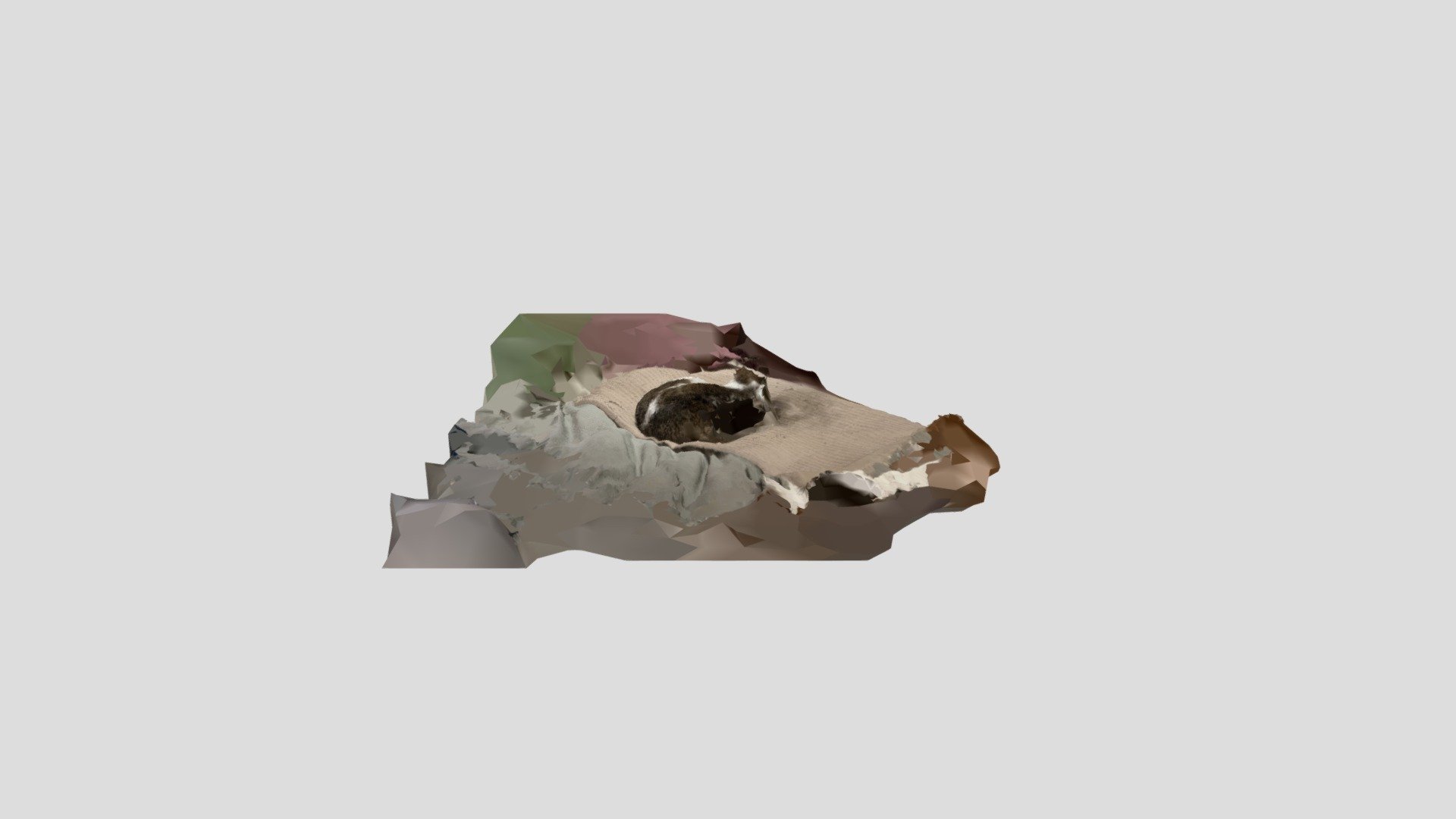 Gato 2022-12-03T08:25:20.617Z - Download Free 3D model by eltatodiego ...