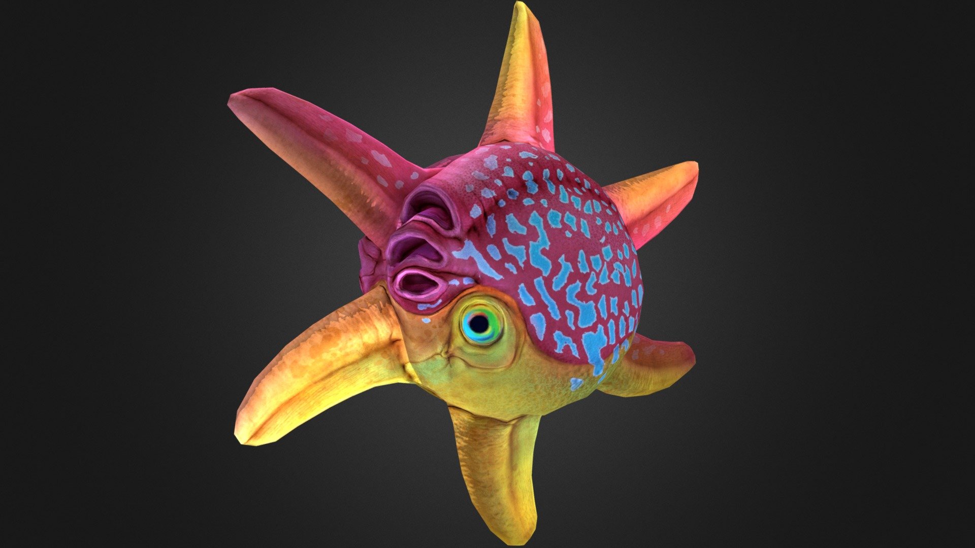 Spinnerfish - Download Free 3D model by gavinpgamer1 [03300df] - Sketchfab