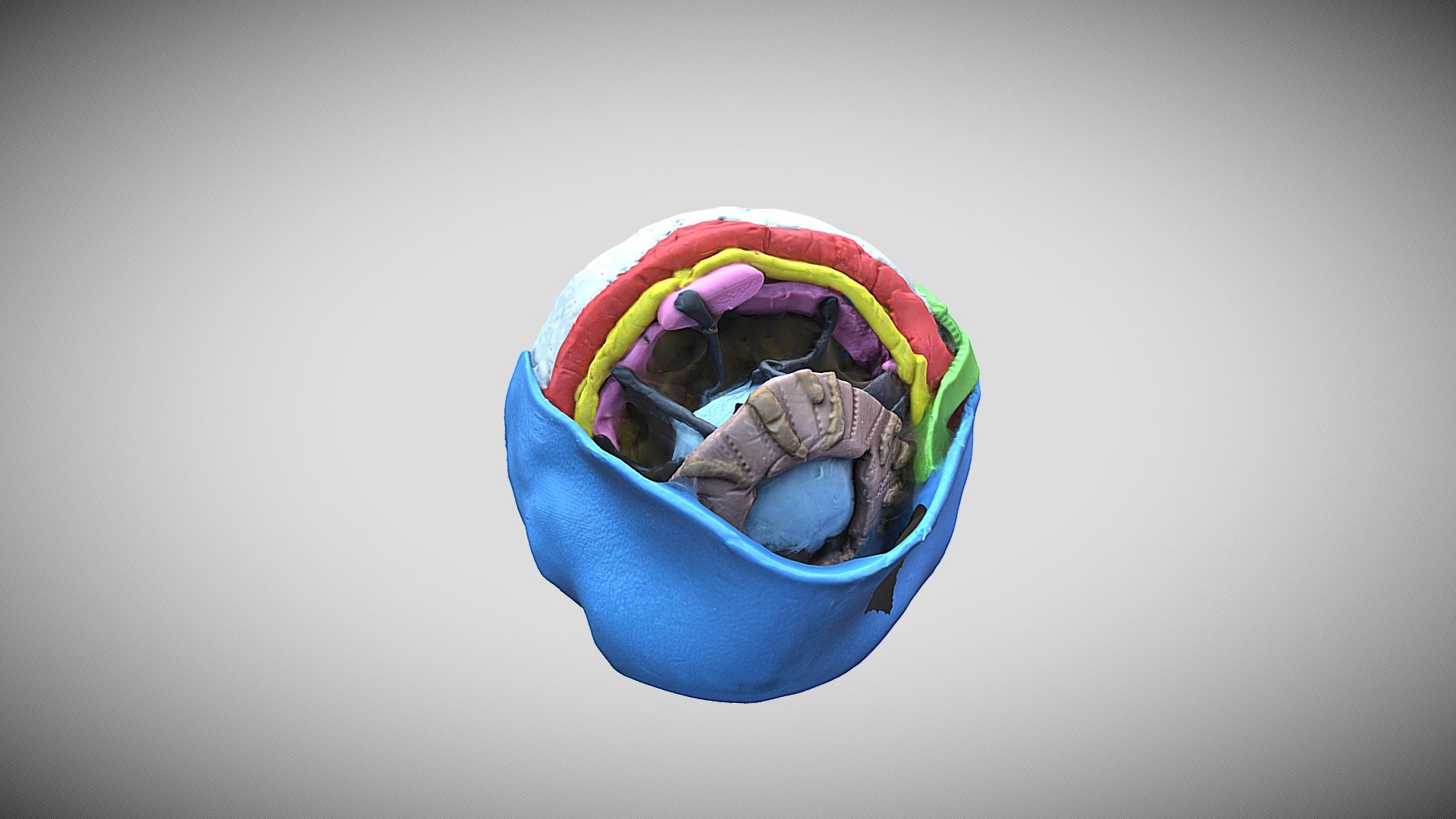 T1sub-group_ - 3D model by Cs1103 [0332b8f] - Sketchfab