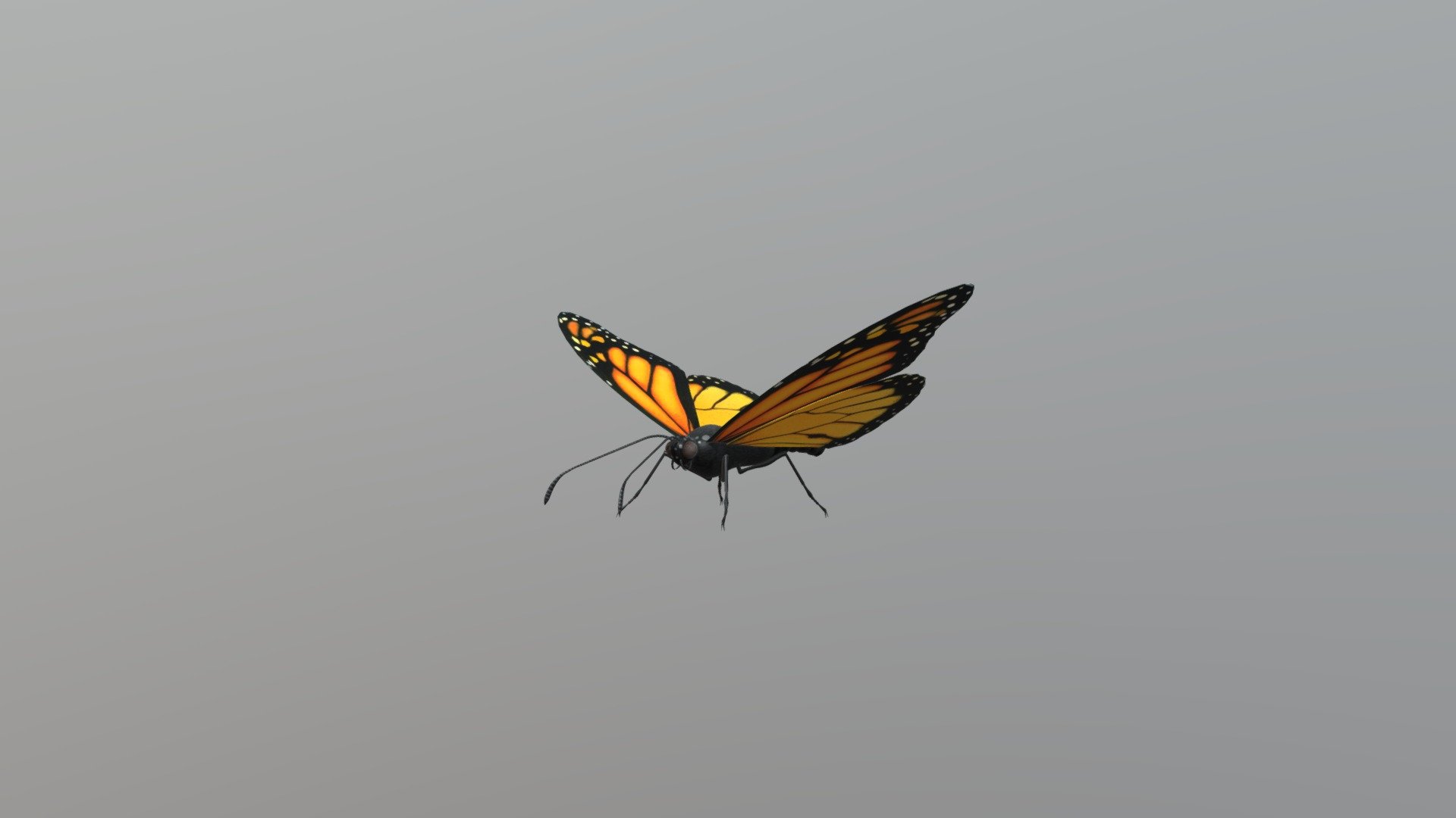 kupu - 3D model by muhkasim [033bb64] - Sketchfab